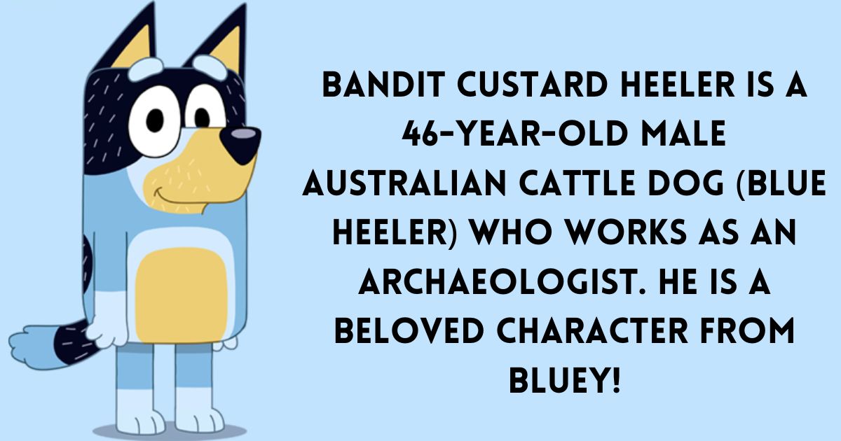 Bluey Dad Age, Bio, Net worth, Family & His Voice Artist